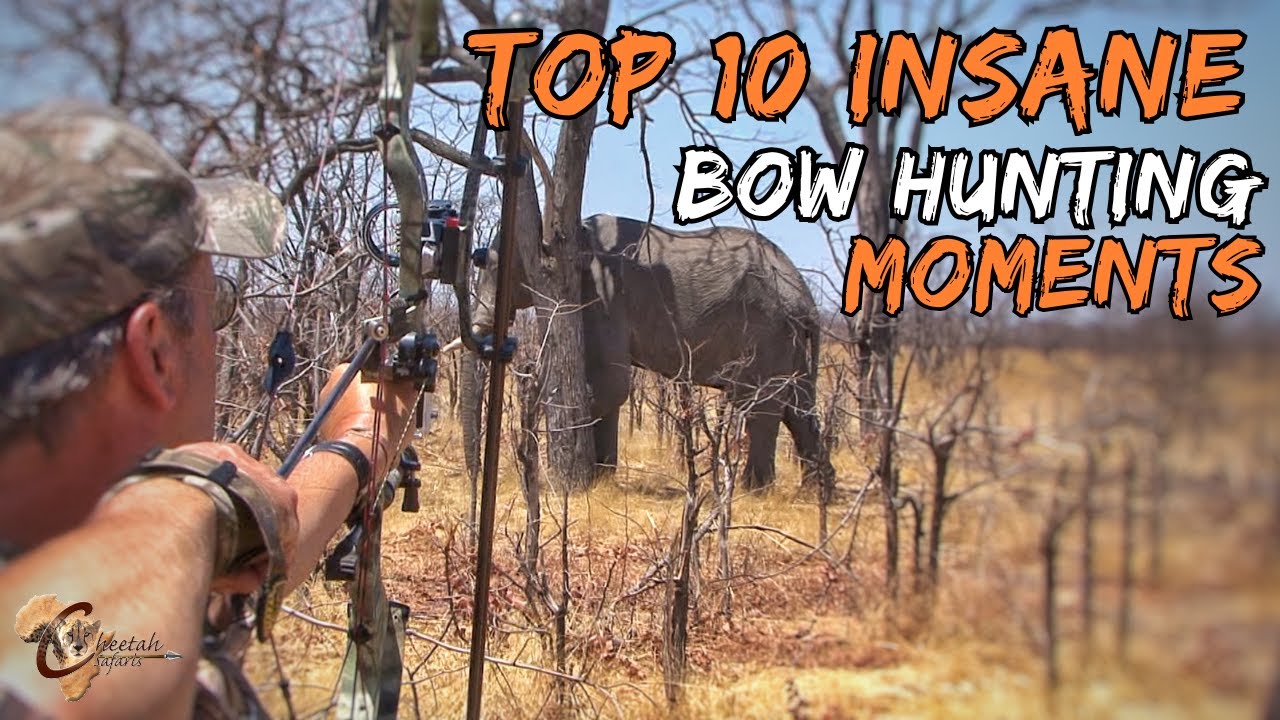 Top 10 Insane Bow Hunting Moments - YouTube