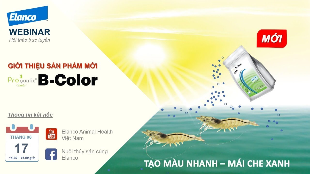 Giới thiệu sản phẩm mới: Proquatic B-Color - Tạo màu nhanh - Mái che ...