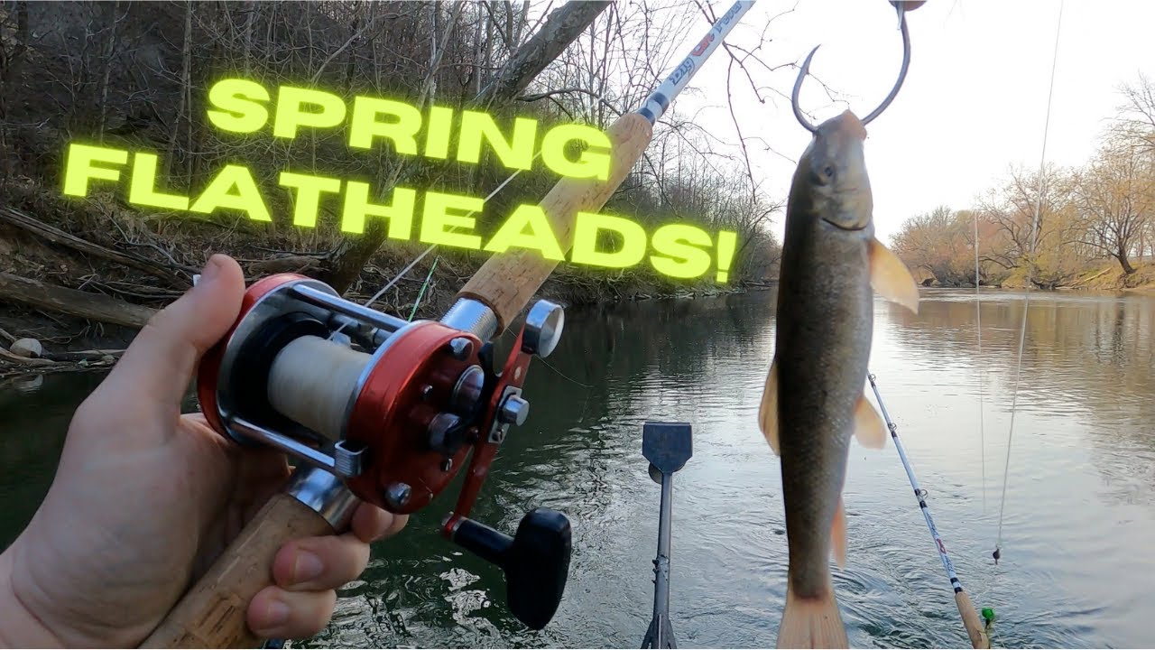 First Indiana flathead of 2024! - YouTube