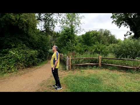 The Basing Trail - YouTube