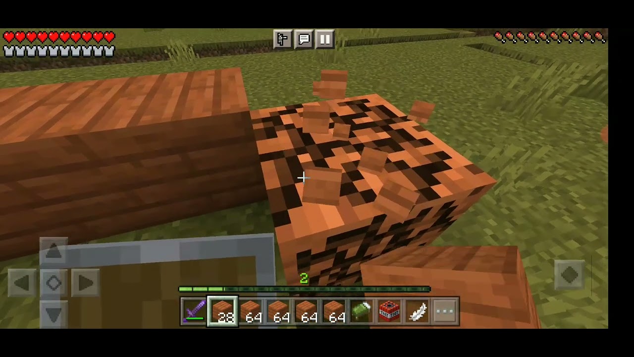 Minecraft 6 - YouTube