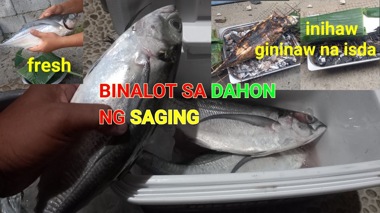 ISDANG DAGAT AT HIPON GALING ZAMBALES - YouTube