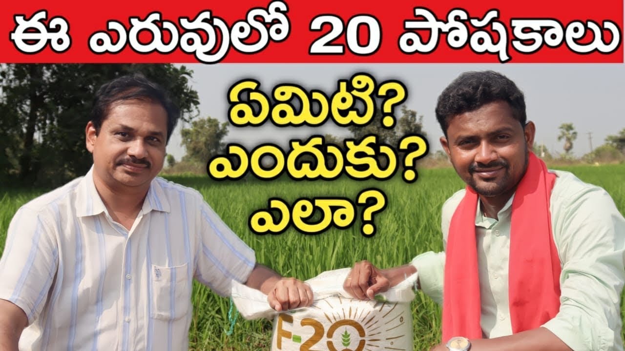 చేనుకు, చెట్టుకు ఏం కావాలి? ఎలా ఇవ్వాలి? | Gromor Fertilizer 20 - YouTube