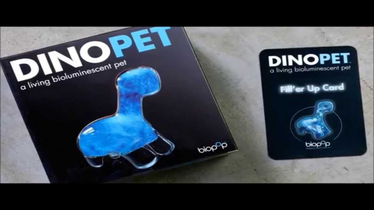 Dino Pet Review YES Review Dino Pet - YouTube