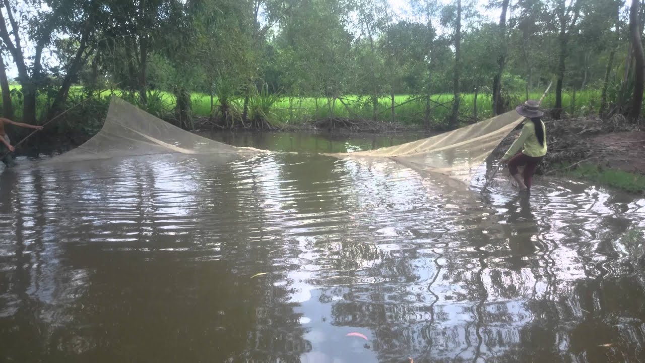 Countryside fishing in our own pond - YouTube