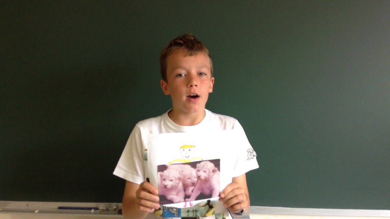 Raúl - My favourite animal - YouTube