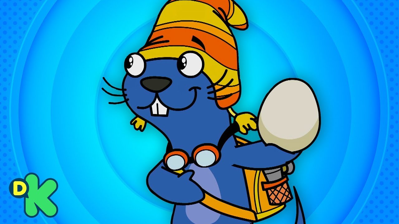 Os melhores momentos do Fico | Doki | Discovery Kids Brasil - YouTube