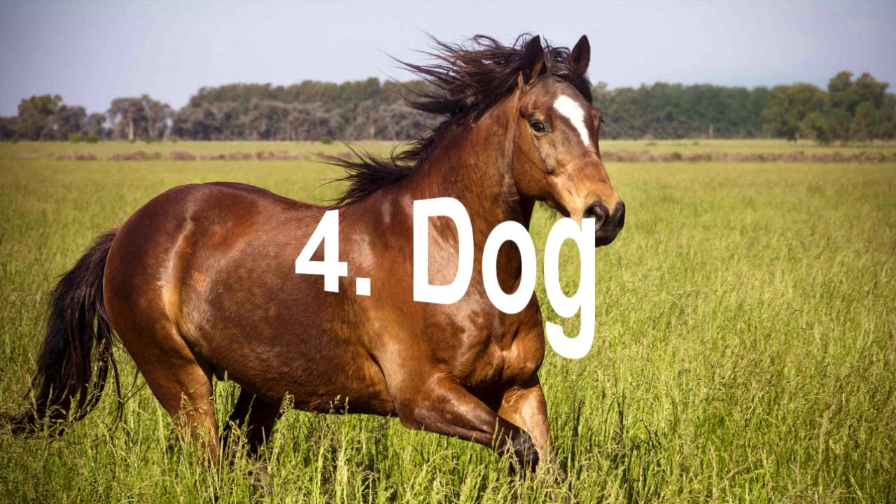 Top 5 Bruh Moments: The Movie (#5) - YouTube