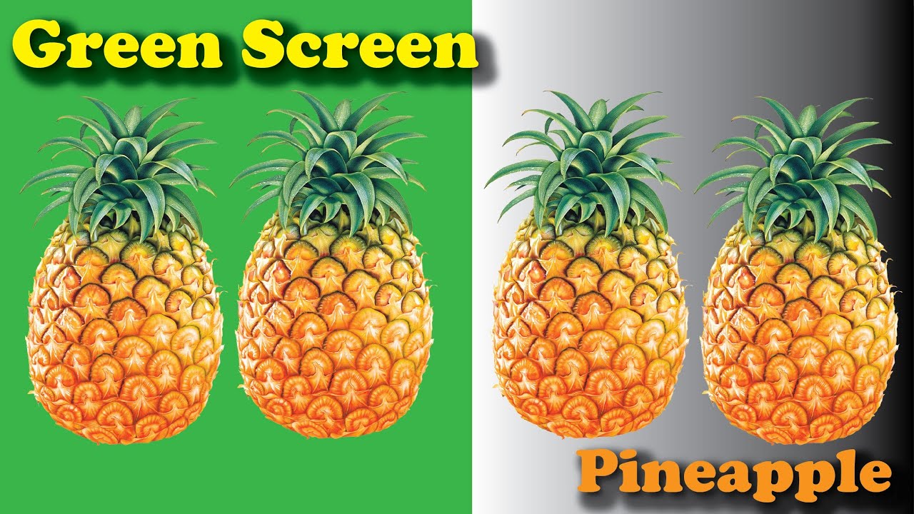 Green Screen Pineapple Part 3||Copyright or Royalty Free Videos|| For ...