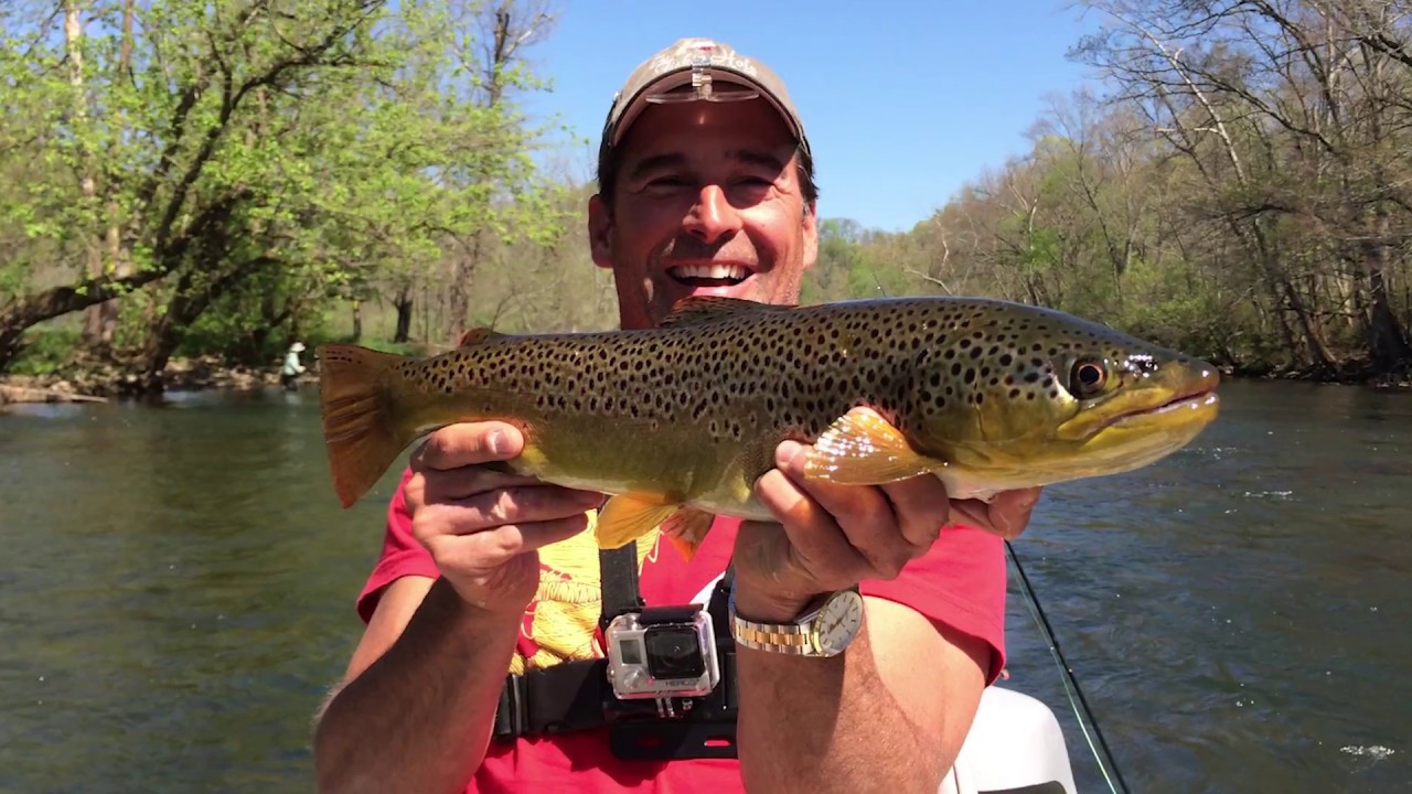 How to Big Fish Light tippet 6x 7x 8x tippet 9' vs 10' rod dog brussels ...