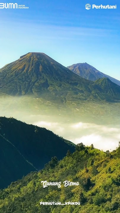Wisata pendakian Gunung Bismo Wonosobo, destinasi wisata kolaborasi Perhutani dengan Mitra ...