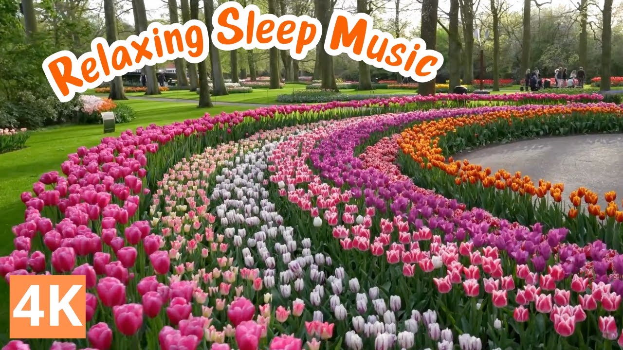 4K HDR Video – Relaxing Piano Music : Beautiful Relaxing Music, Sleep ...