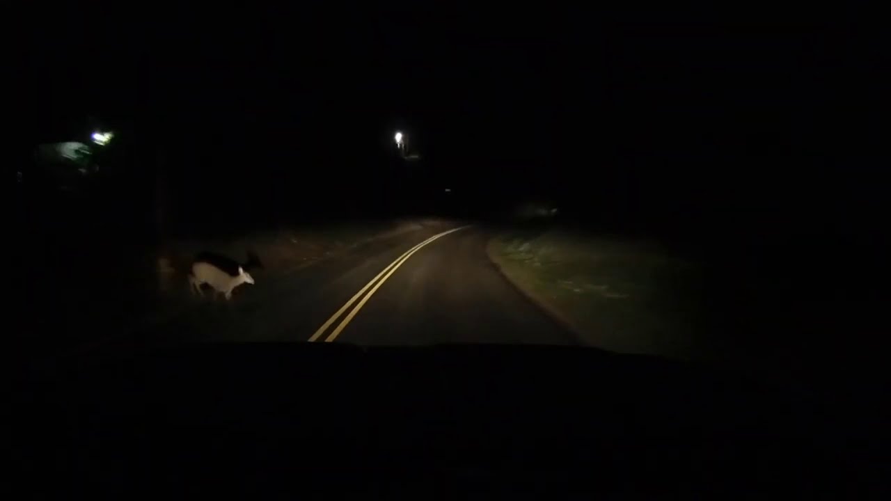 Silverado Hits Deer. - YouTube