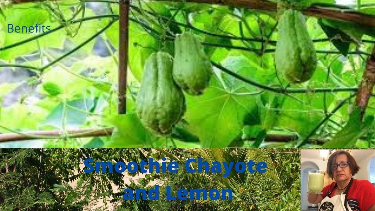 How to make Smoothie Chayote and Lemon Juice Benefits - YouTube