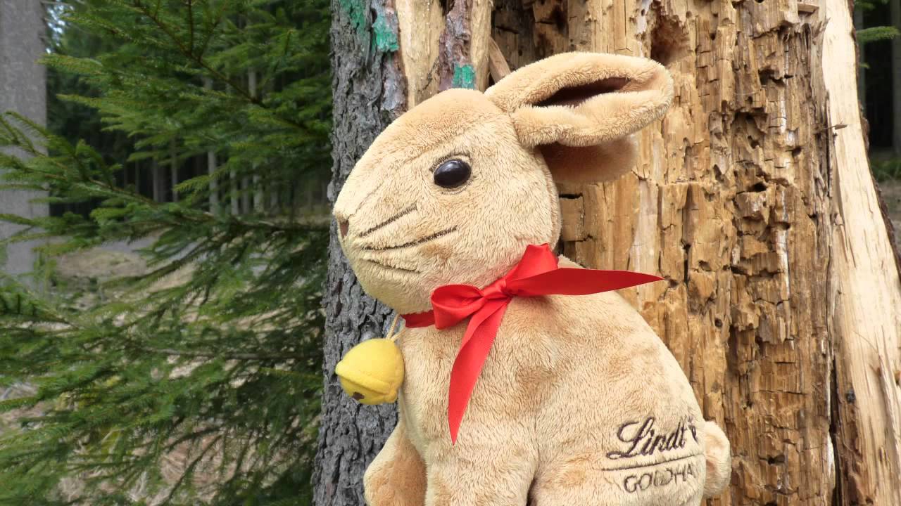 Max Mümmelmann der Osterhase - YouTube