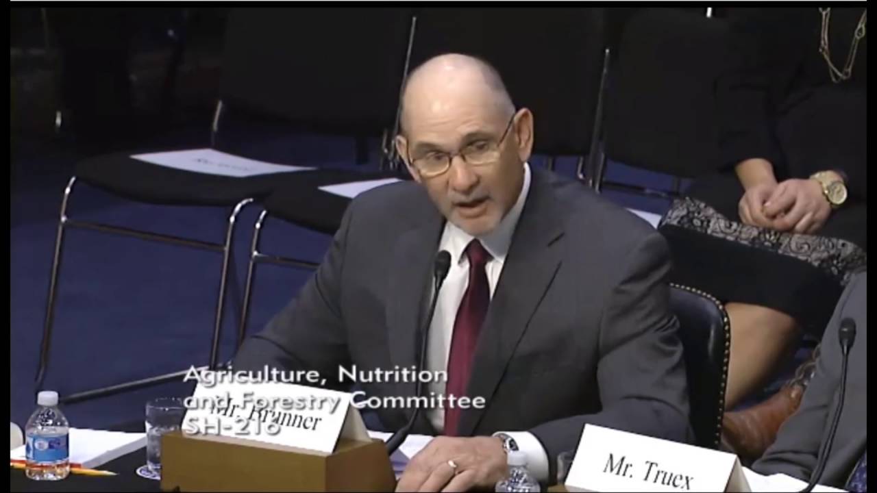NCBA President Tracy Brunner Testifies Before Senate Ag Committee - YouTube