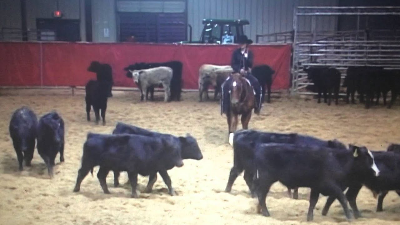 Alittle Mo Starlight / Smart Little Lena mare / cutting horse for sale ...