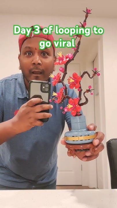 Day 3 of looping to go viral #loop #loop #funny #seamlessloop # ...