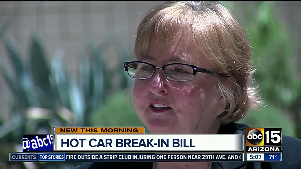Bill could protect people who break windows to save children, pets in ...