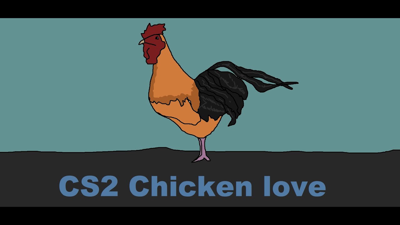 CS2 Chicken Love - YouTube