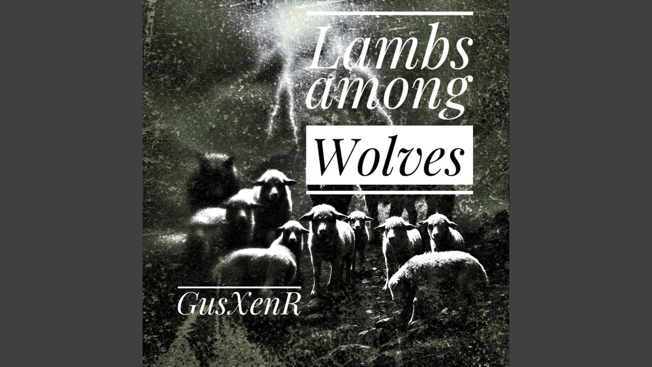 Lambs among Wolves - YouTube