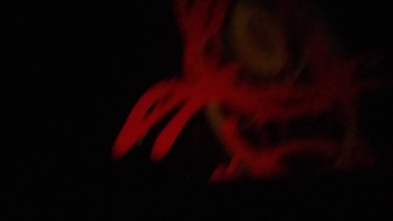 Nickelodeon FNAF Music Video - YouTube