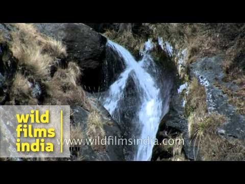 Waterfall on trail to Taktsang monastery : Paro, Bhutan - YouTube