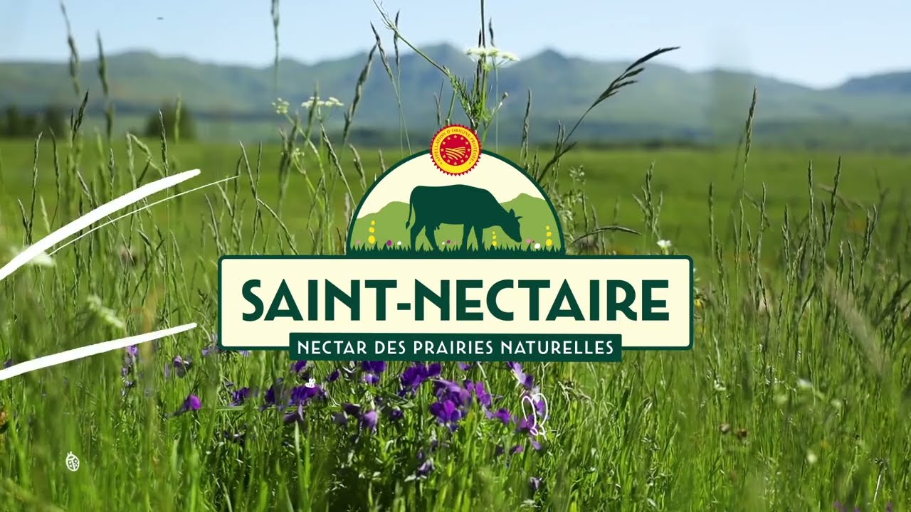 AOP Saint-Nectaire : Nectar des prairies naturelles - YouTube