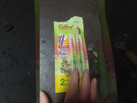 NEW HEMP PRE-ROLL BRAND? Cutleaf- lemon cherry gelato preroll REVIEW ...