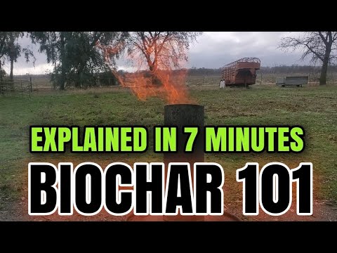 EVERYTHING YOU ever WANTED to KNOW about BIOCHAR 🔥