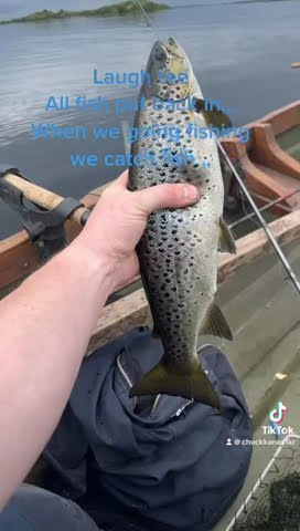 lough ree trout fishing 2024 - YouTube