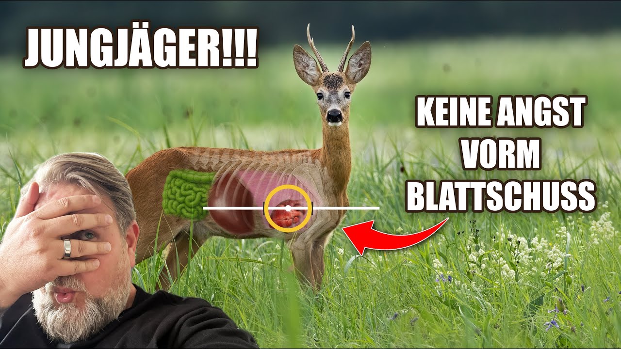 Jungjäger: Keine Angst vorm Blattschuss! - YouTube