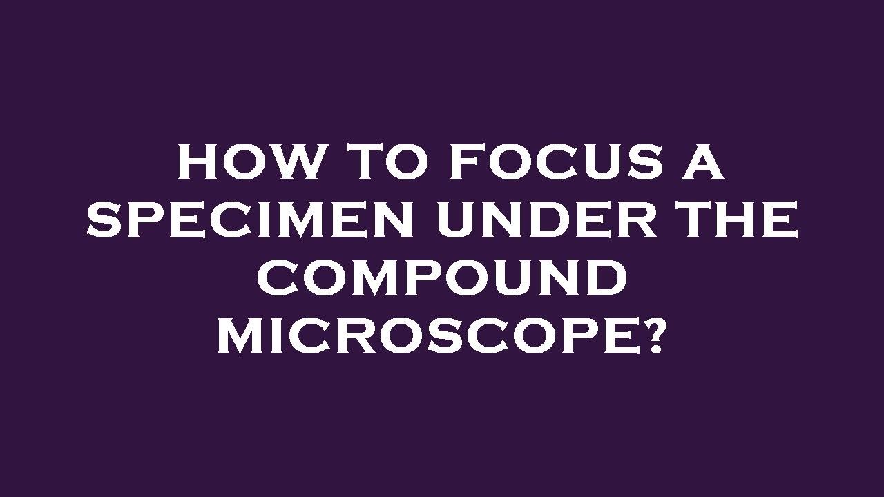How to focus a specimen under the compound microscope? - YouTube