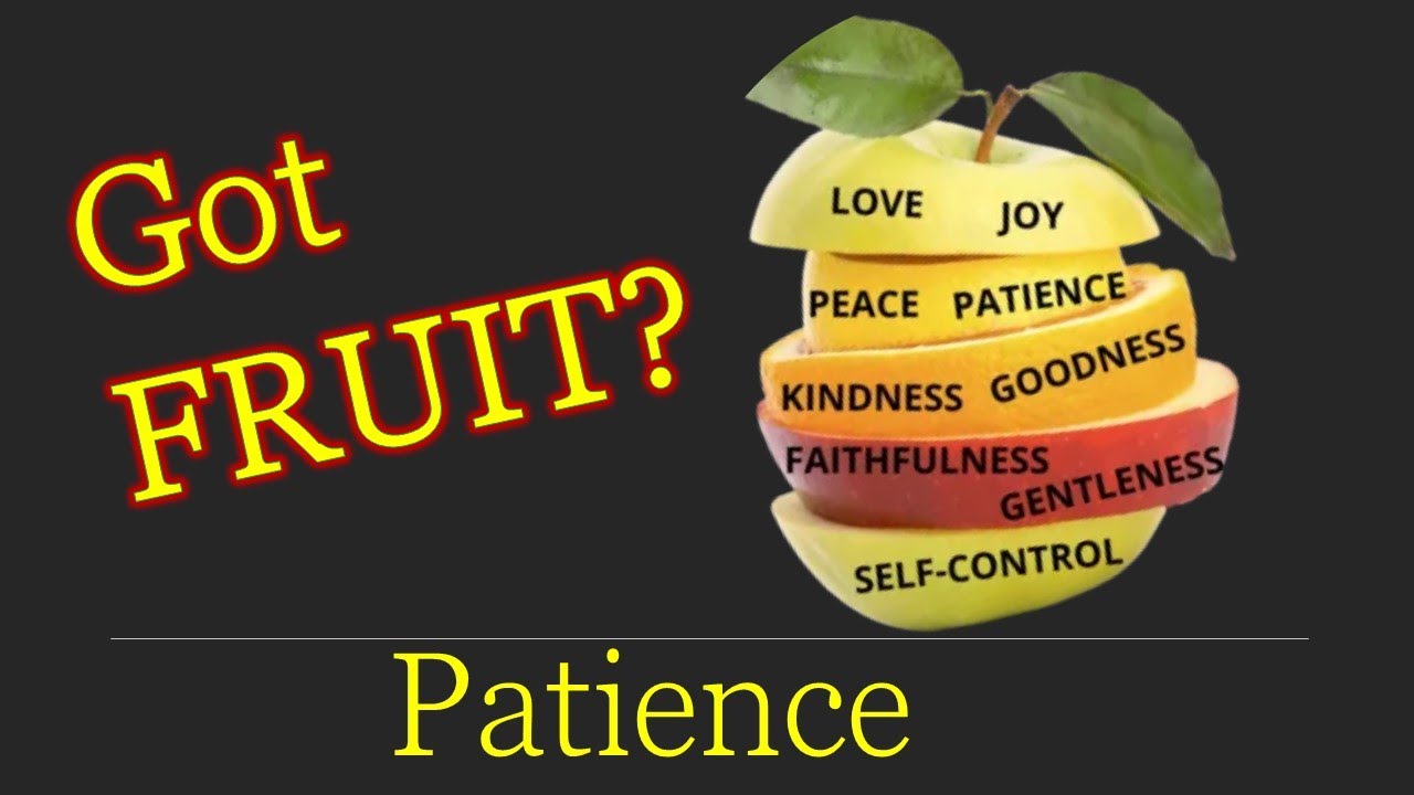 Got Fruit? - Patience - YouTube