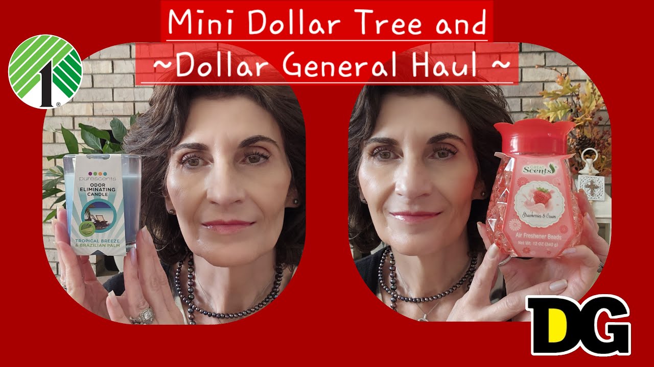 Mini Dollar Tree & Dollar General Haul 🛒🛍😎 - YouTube