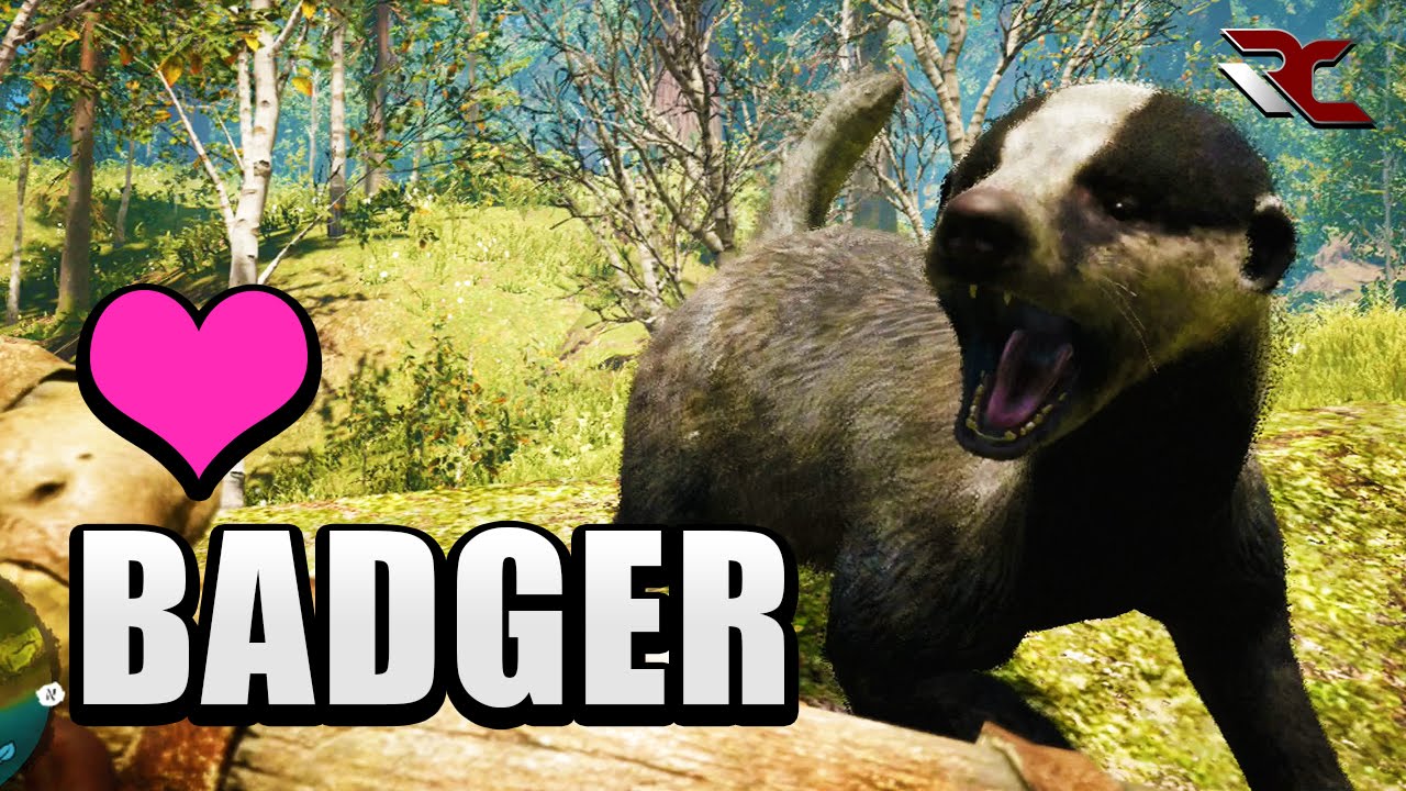 Far Cry Primal | Badger Taming (How to find a Badger - Best Beasts in ...