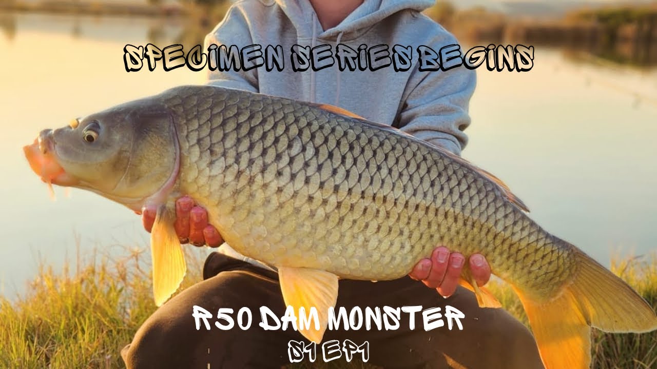 SPECIMEN SERIES! (S1 EP1) R50 DAM MONSTER CAUGHT! (RUST IN ORIBI RESORT ...