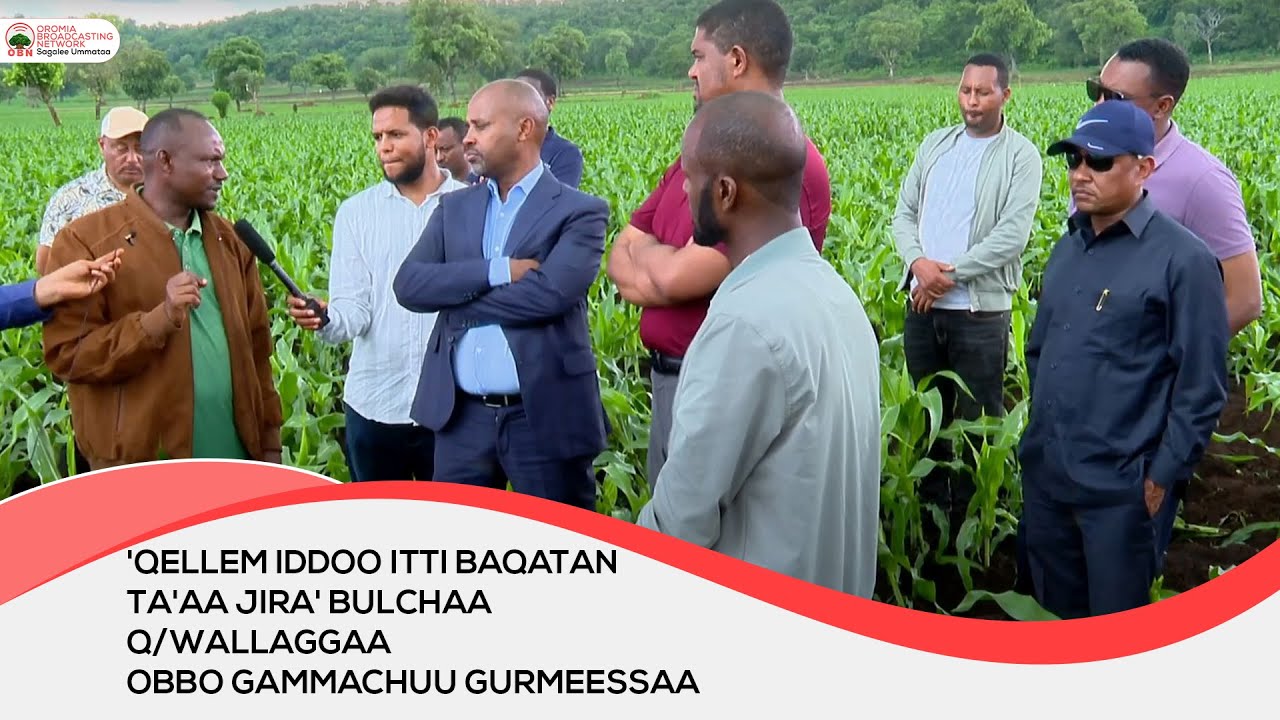 'Qellem iddoo itti baqatan ta'aa jira' Bulchaa G/Q/Wallagaa Obbo ...
