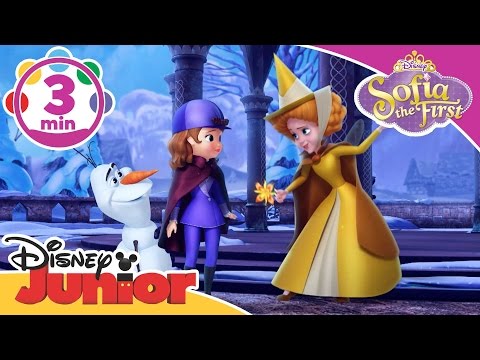 Sofia the First | My Finest Flower Song | @disneykids