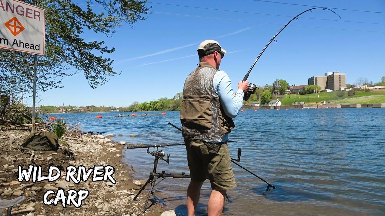 Wild River Carp Fishing || First 20+ Pounder of the Year - YouTube