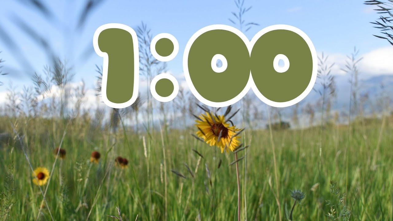 1 Minute Countdown Timer with Relaxing Music - YouTube