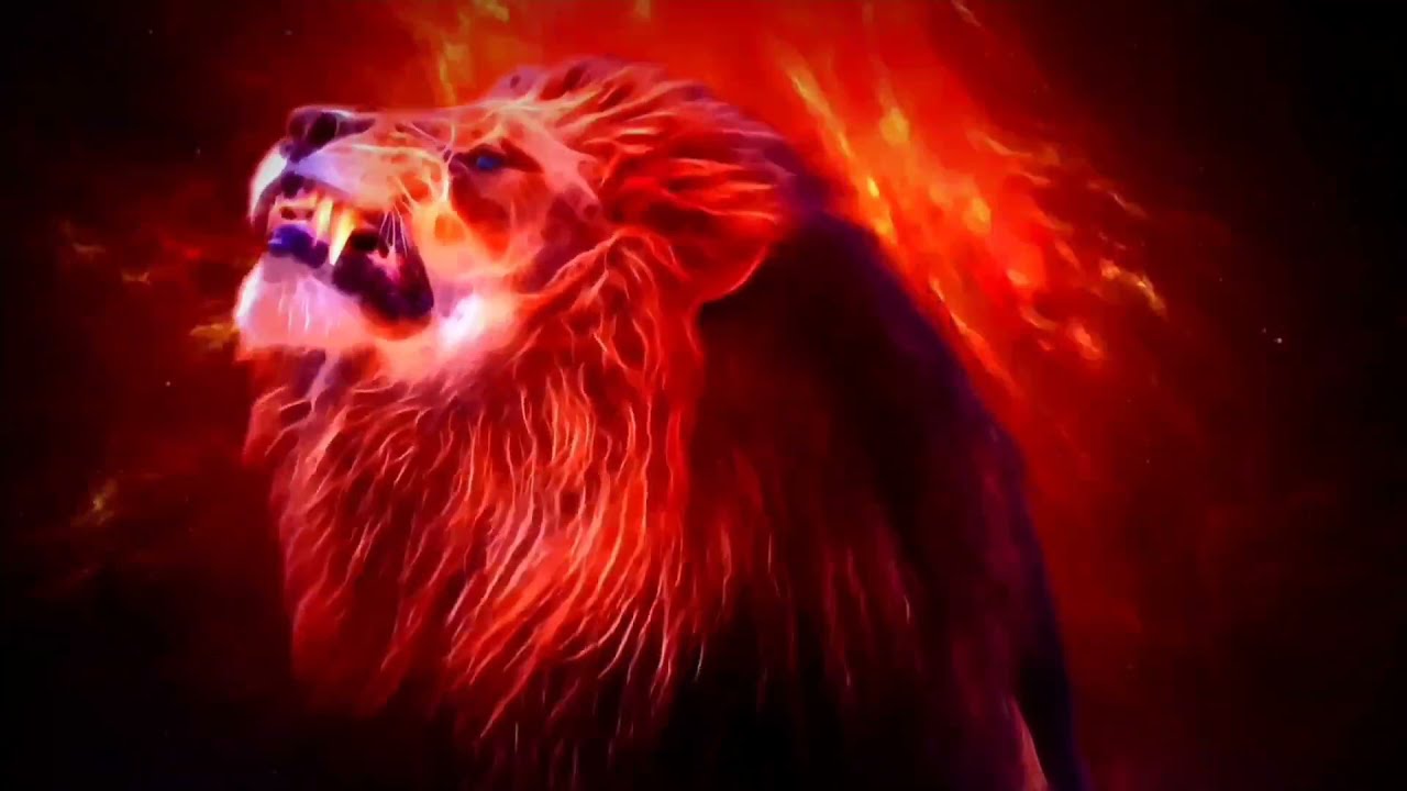 Danger KinG Intro | Danger KinG - YouTube