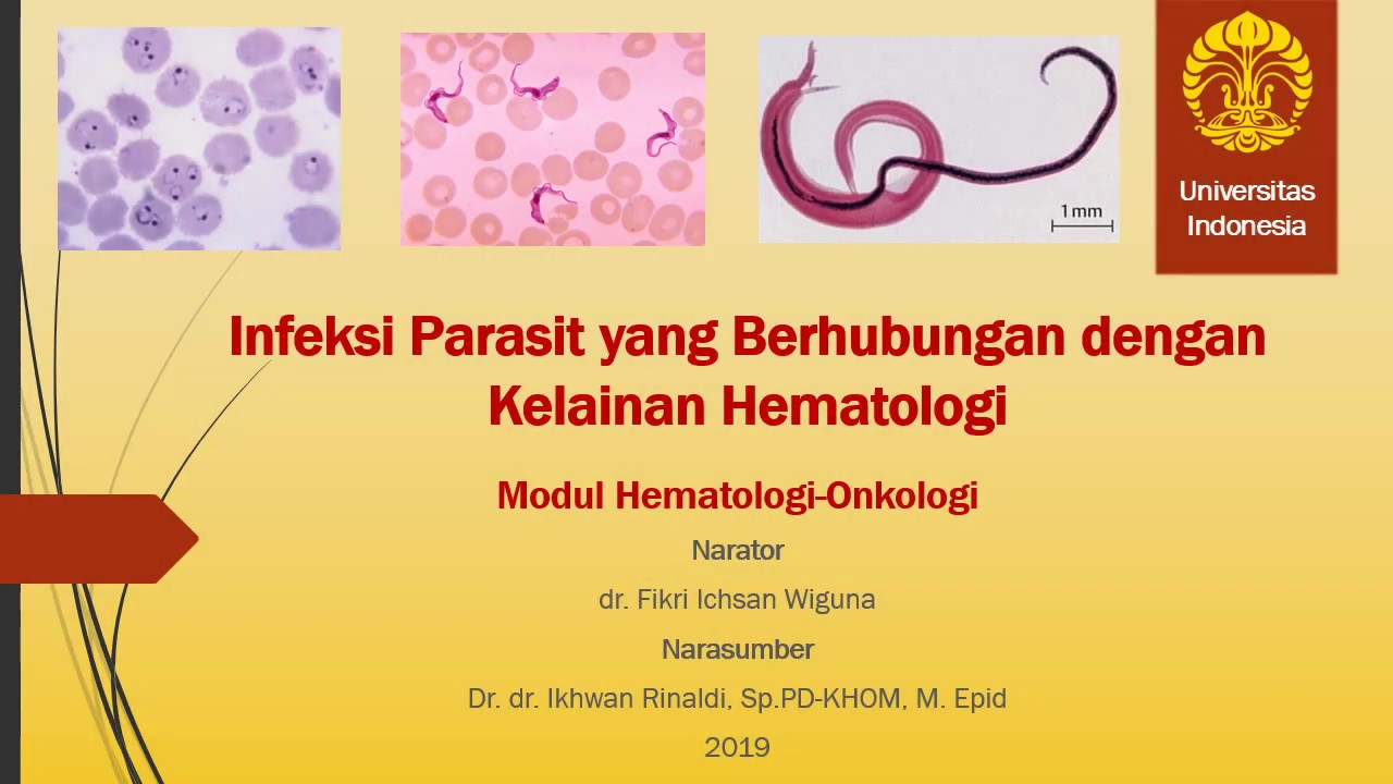 Infeksi Parasit yang Berhubungan dengan Kelainan Hematologi - YouTube