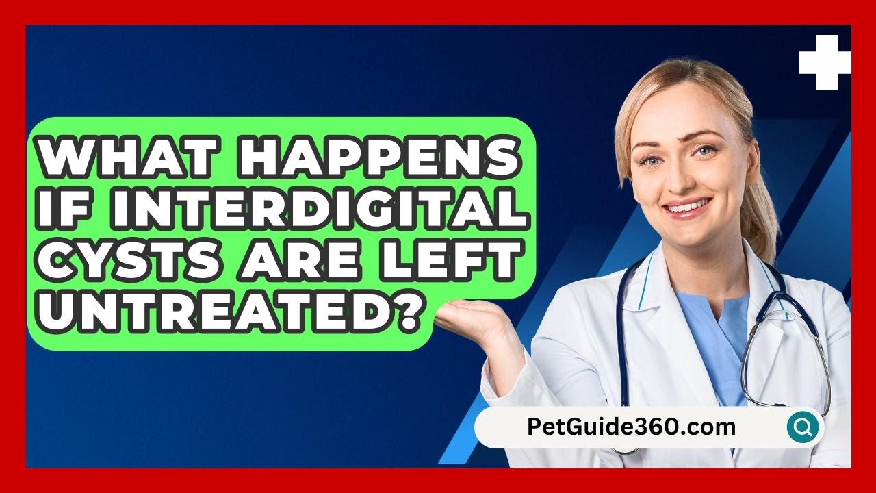 What Happens If Interdigital Cysts Are Left Untreated? - PetGuide360 ...