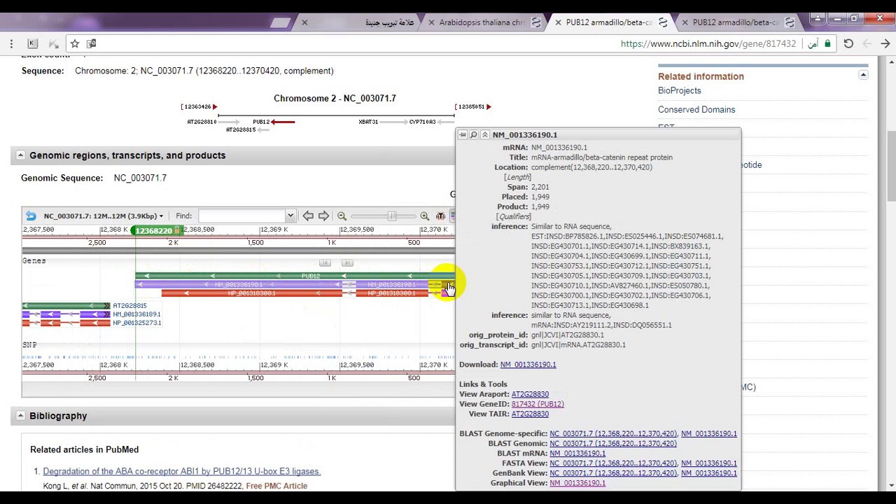 How to identify the position of exons of any gene by ncbi ? - YouTube