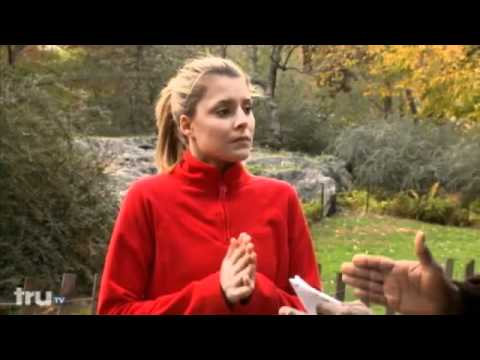 Bulls and Bears - All Worked Up - YouTube