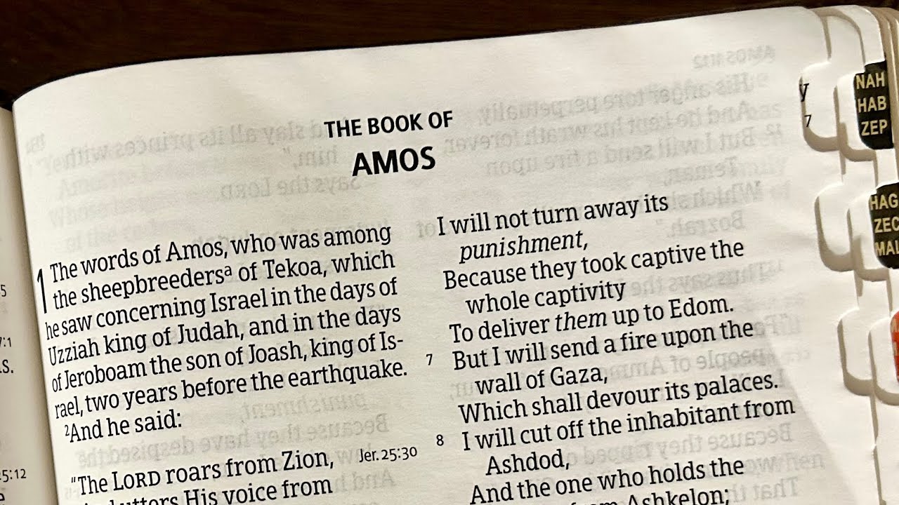 The Book of Amos Ch 5:16 - 9:15 - YouTube