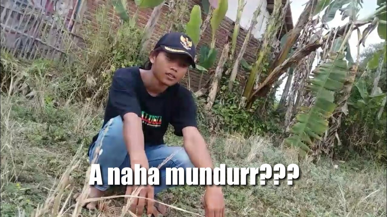 Mang naha mundur??||Part4. - YouTube
