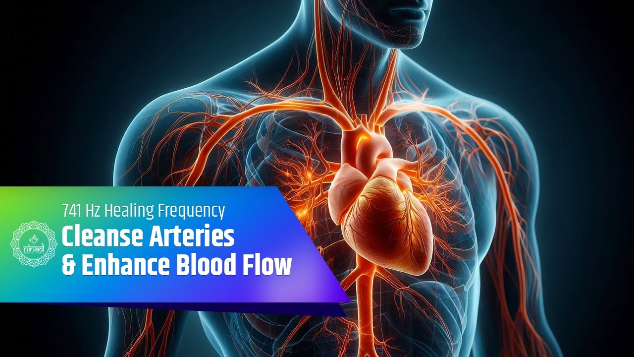 Cleanse Arteries and Enhance Blood Flow for Natural Health | 741 Hz ...