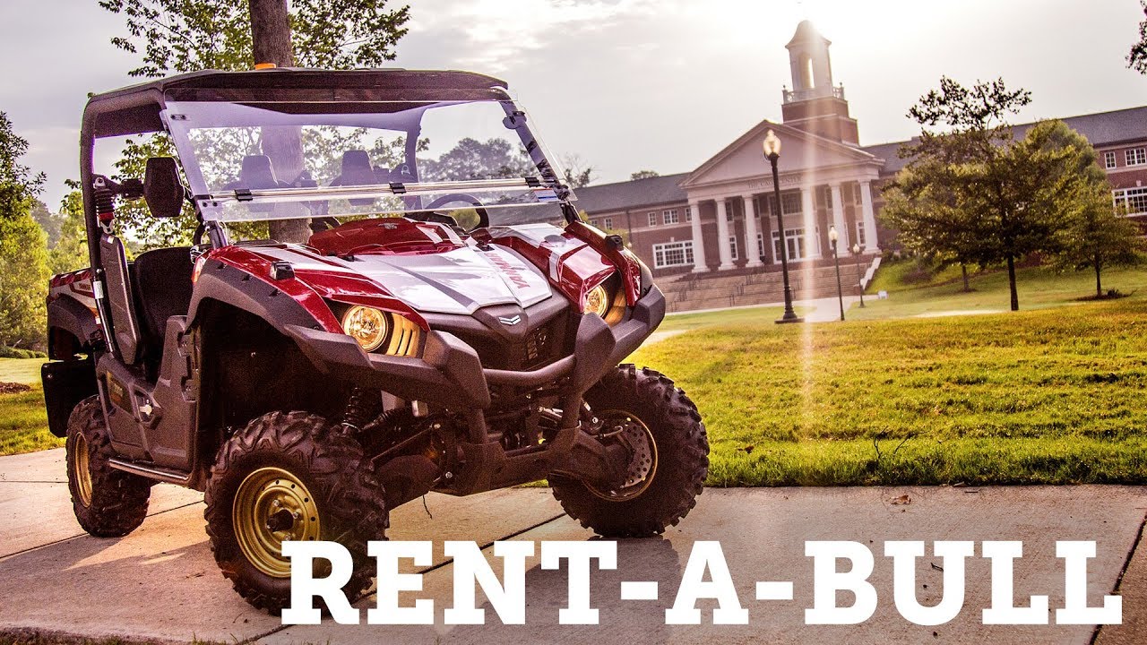 Rent A BULL - YouTube